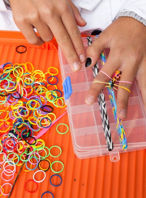 Plastic Fantastic Challenge